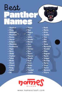 480+ Panther Names with Generator - Names Clash