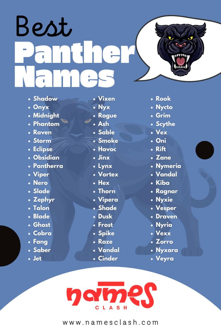 480+ Panther Names with Generator - Names Clash