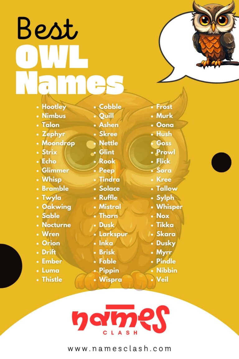540+ Owl Names with Generator - Names Clash