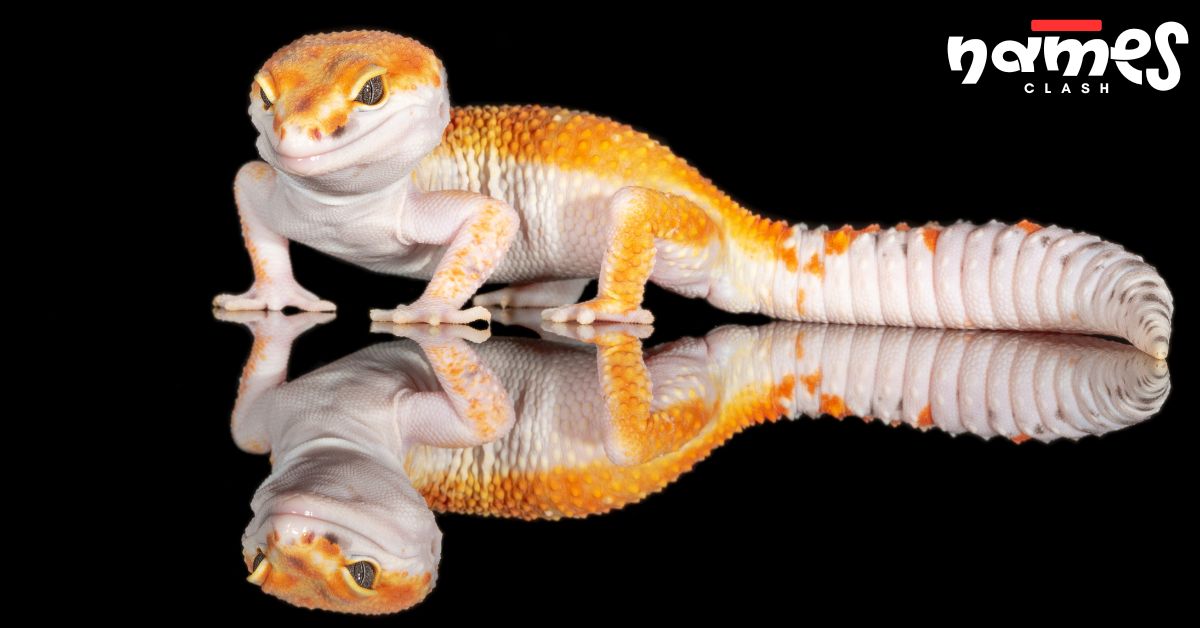 600 Leopard Gecko Names With Ai Generator - Names Clash
