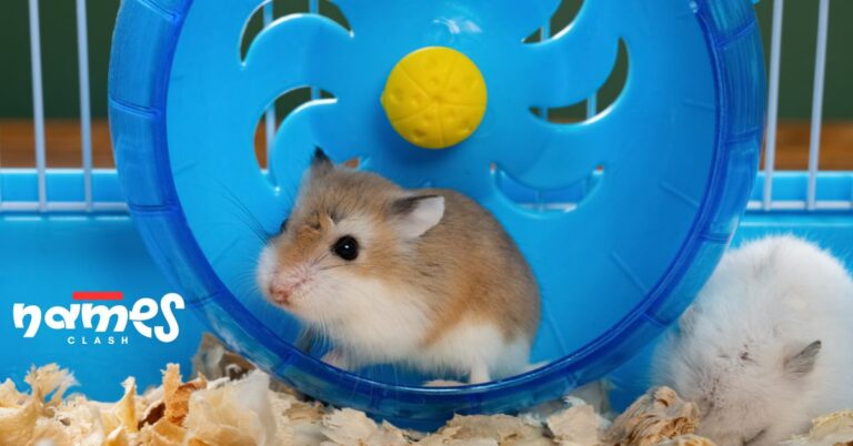 410 Hamster Names With Ai Generator - Names Clash