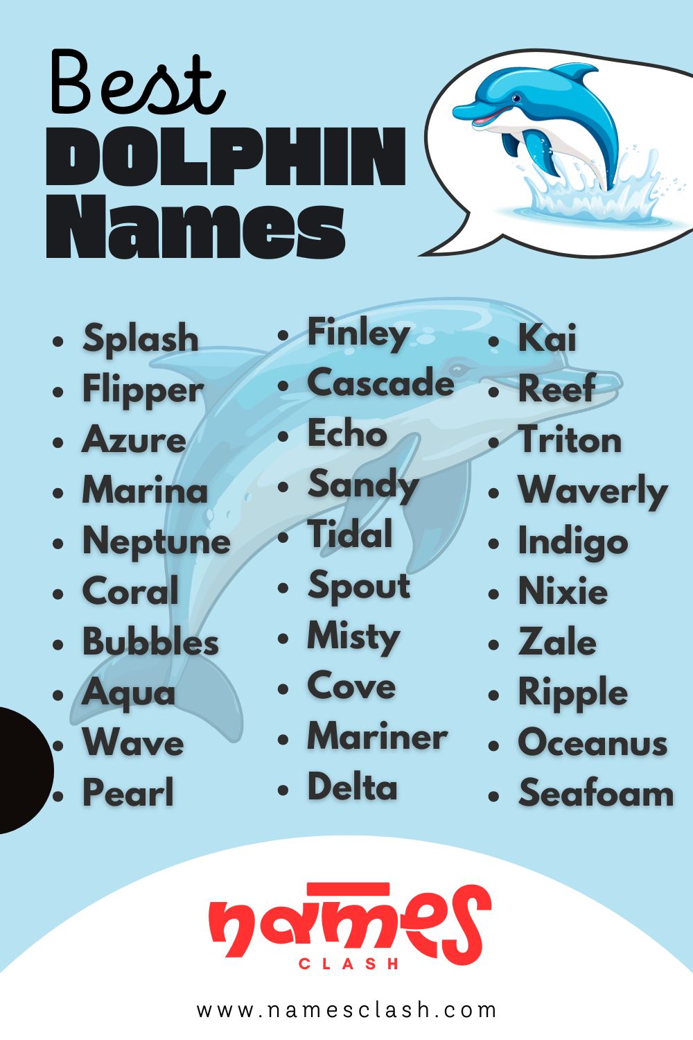 340 Funny Dolphin Names With AI Generator - Names Clash