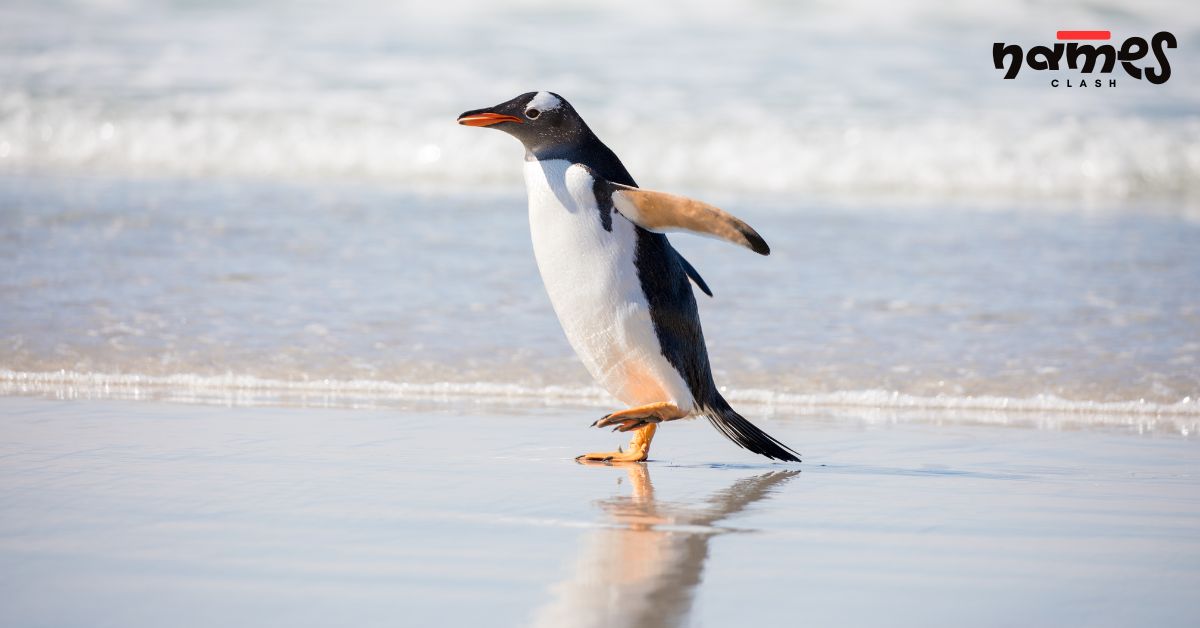 Cute 353 Penguin Names With AI Generator - Names Clash