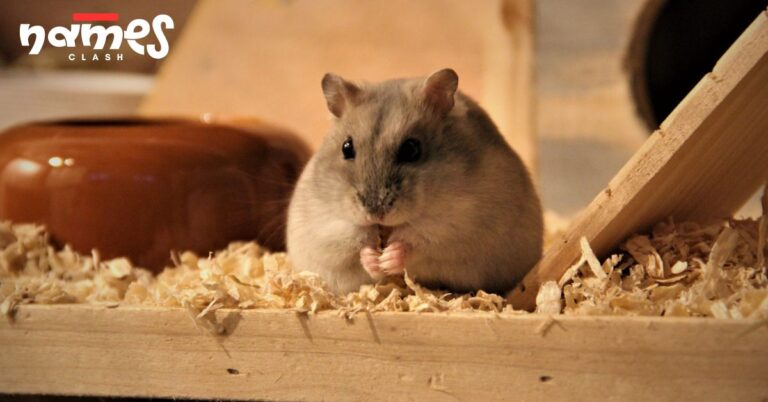 410 Hamster Names With Ai Generator - Names Clash