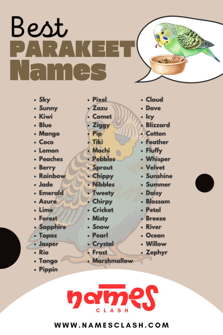 Best 590+ Parakeet Names With Ai Generator - Names Clash