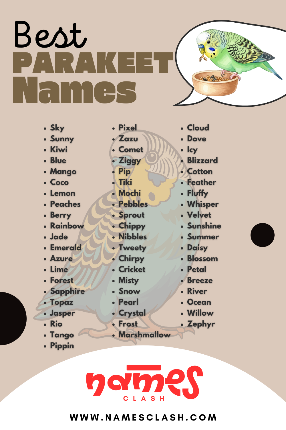 Best 590+ Parakeet Names With Ai Generator - Names Clash